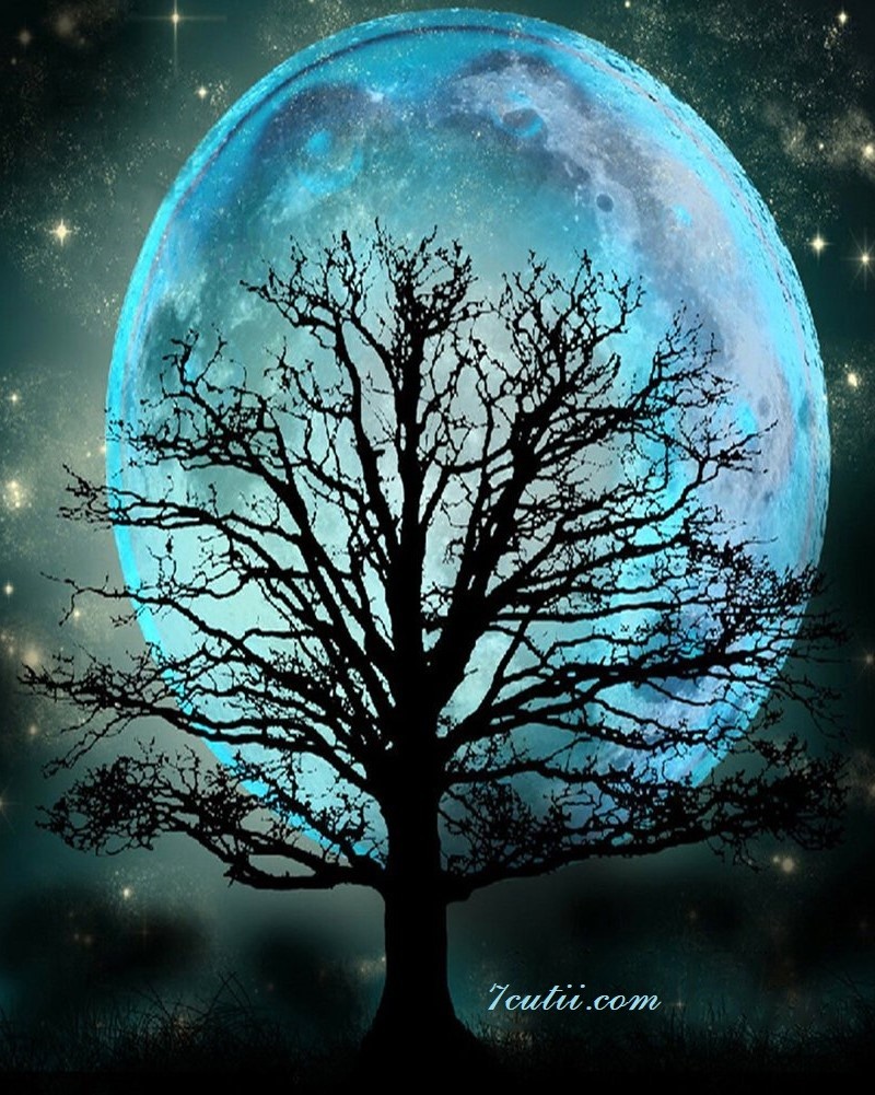 Pictura pe numere - Noaptea cu luna de cristal - 7cutii.com