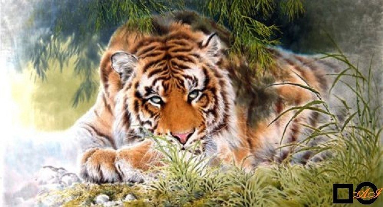 Goblen de diamante - Tigru bengalez - 7cutii.com