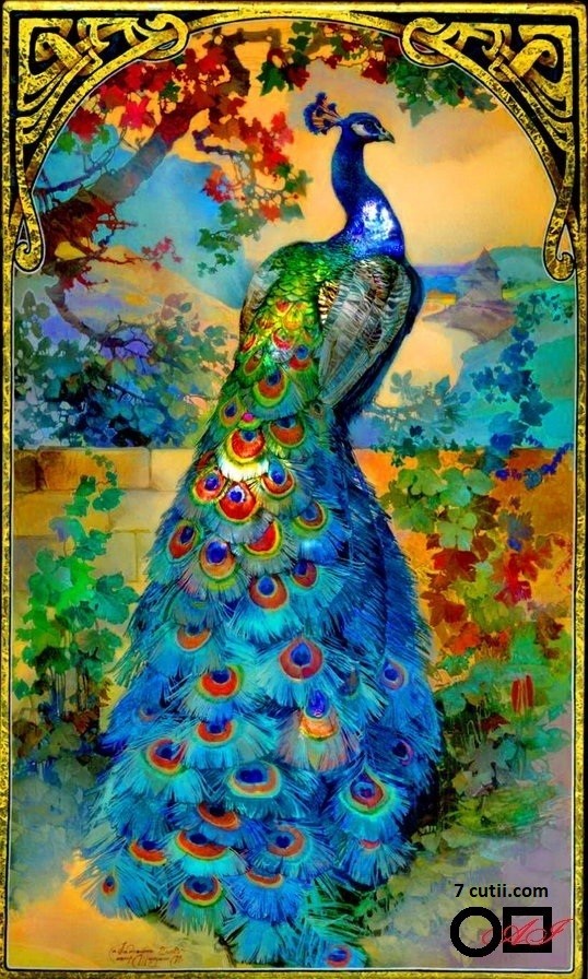 Goblen de diamante - Paun colorat - 7cutii.com